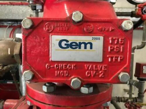 GEM & TYCO DV-1 6 Deluge Fire Suppression Valve and CV-2 6 Check Valve ...